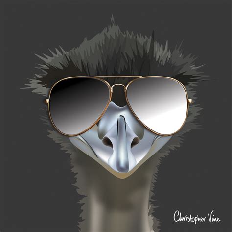 Wholesale Emu With Glasses Mini T Card Aero Images Fieldfolio