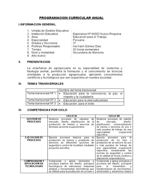 Programacion Curricular Anual Pdf Evaluación Presupuesto