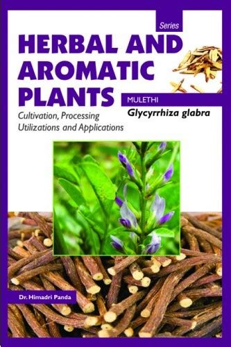 Herbal And Aromatic Plants Glycyrrhiza Glabra Cultivation