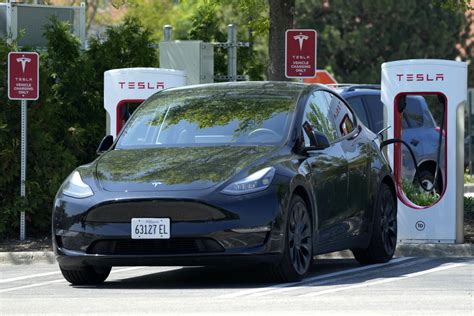 Tesla Robotaxis To ‘transform Society More Than Anything Else Rbc