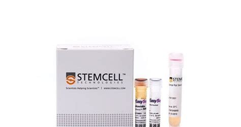 Easysep™ Mouse Naïve Cd8 T Cell Isolation Kit Reviews