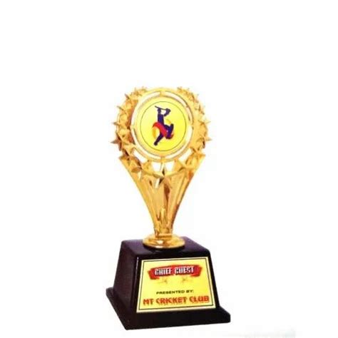 Golden Gold Plated Cricket Trophy Packaging Type Box At Rs 20piece