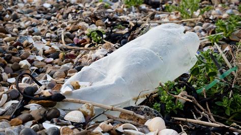 Plastic Bag Litter On Beaches Falls By 80 Bbc Newsround