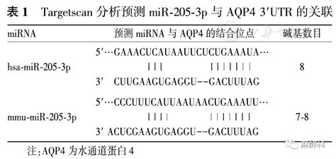 Mir 205 3p在氧糖剥夺 复氧复糖星形胶质细胞胀亡中的作用：与aqp4的关系复氧复糖mrna损伤率胀亡率 健康界