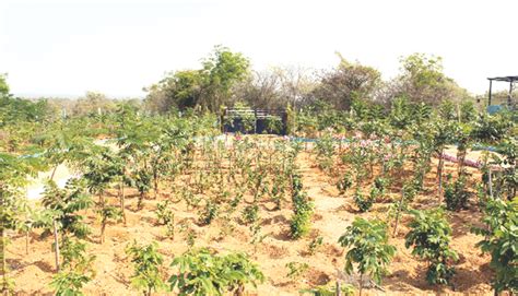 Namasthe Telangana