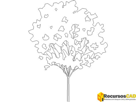 Bloques Autocad De Árboles Plantas Hierbas Y Arbustos En En Vistas