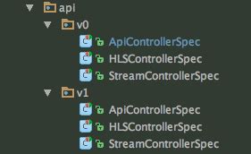 Document Multiple Version Of API Using Swaggydoc On Grails With Same