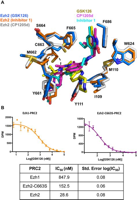 Comparison Of Human Gsk126 Bound Prc2 With Other Inhibitor Bound