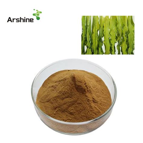 Odm Fucoidan Brown Seaweed Extract