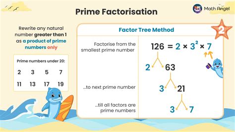 Prime Numbers And Prime Factorization Definition Methods Examples