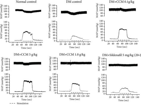 A Representative Icp And Map Tracings At 5 Voltages In The Six