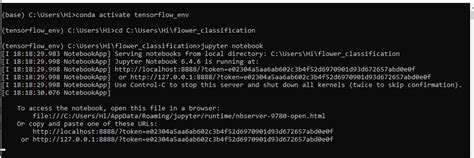Classifying The Type Of Flowers Using Cnn
