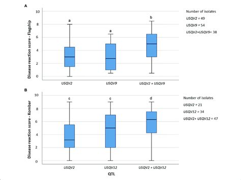Pyramiding Of Qtl Associated With Virulence Of P Teres For Flagship