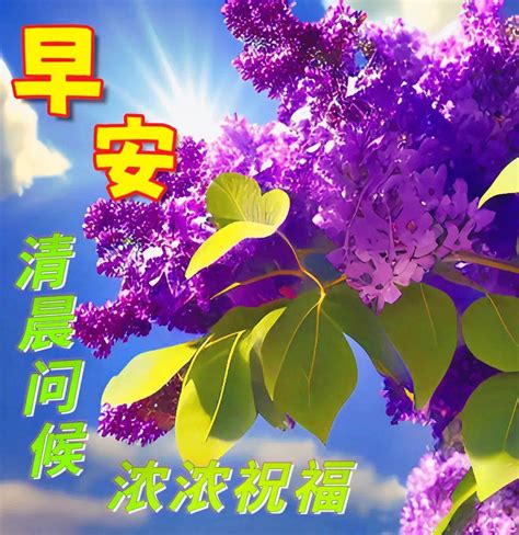 中老年早上好表情包大全，清晨问候，浓浓祝福
