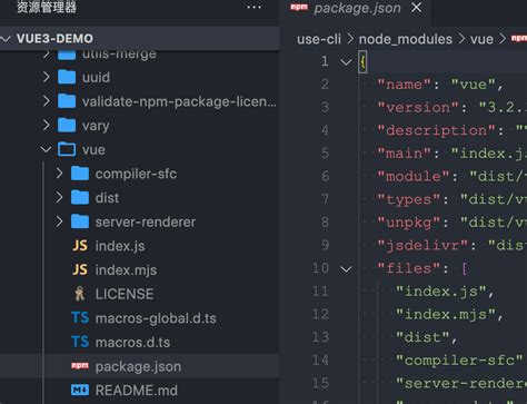 vscode插件node modules Mao 博客园