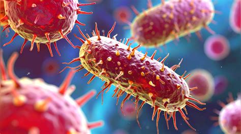 Lizard Infections In Household From Salmonella To Leptospirosis