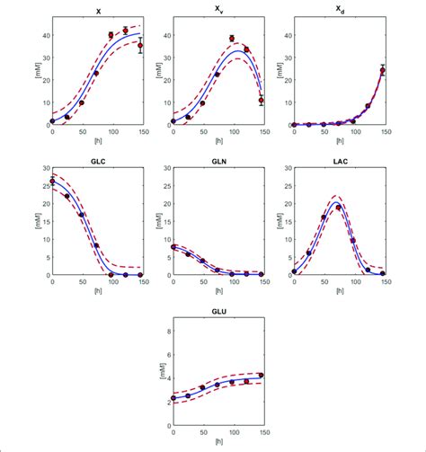 physiological modeling results compared to experimental data biomass