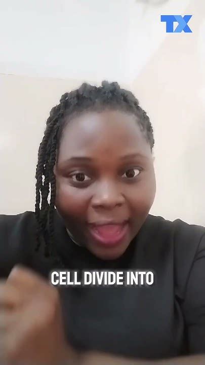 Cell Cycle Part5 Youtube