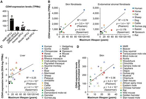 Cd44 Correlates With Longevity And Enhances Basal Atf6 Activity And Er Stress Resistance Cell