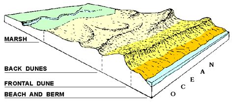 Sand Dunes Diagram