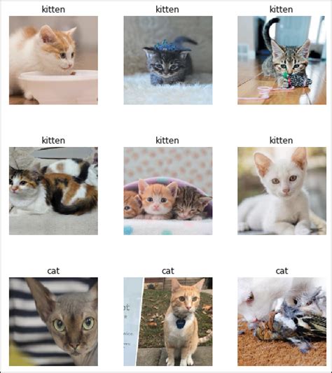 image classification with fastai shotgun debugging