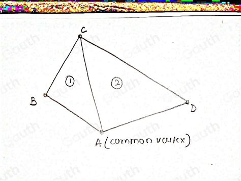 Solved Using Diagonals From A Common Vertex How Many Triangles Could Be Formed From The