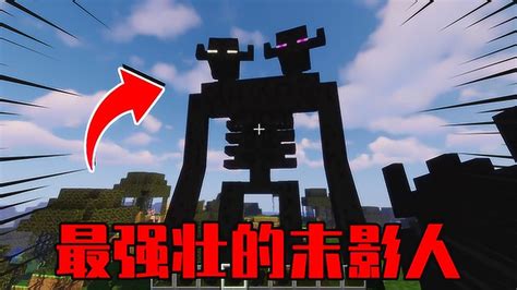 我的世界mod:双头连体末影人!他们的力量强到离奇高清1080p在线观看平台腾讯视频 我的世界mod:双头连体末影人!他们的力量强到离奇高清1080p在线观看平台腾讯视频