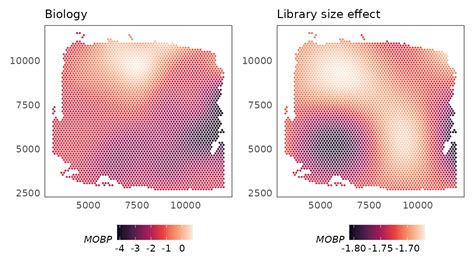Spanorm Spatially Aware Library Size Normalisation Spanorm