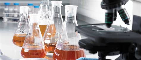 5 Reasons To Optimise The Pasteurisation Of Your Beer And Low Ph