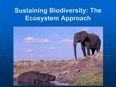 Sustaining Biodiversitypptx