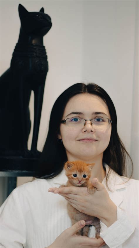 Кошачий культ | Пикабу