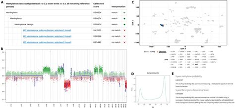 Dna Methylation Profiling Of Lipomatous Meningioma A Dkfz Classifier