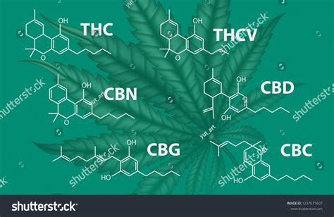 Cbd、thc、cbn、cbg、thcv 和 Cbc 的差异式大麻分子化学结构在绿色背景下的可视化图为媒介插图 库存矢量图（免版税
