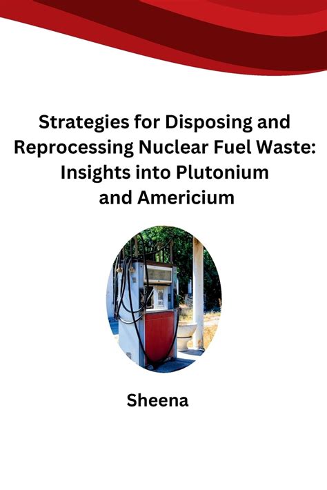 Strategies For Disposing And Reprocessing Nuclear Fuel Waste Insights
