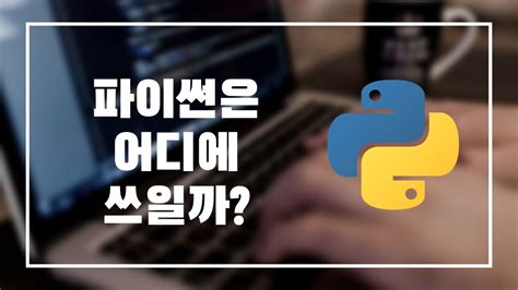 파이썬은 어디에 쓰일까 YouTube