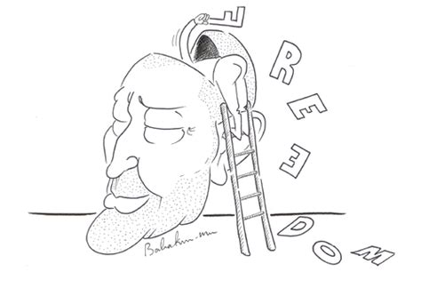 Freedom By Babak Mo Politics Cartoon Toonpool