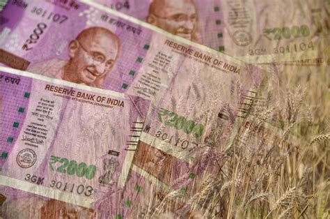 14th Installment Of PM Kisan Check Beneficiary List And EKYC Process