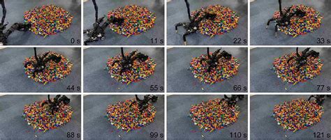 Figure 10 From A Mobile Quad Arm Robot Arms Wheeled Legged Tripedal