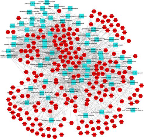 Cytoscape Publications On Tumblr
