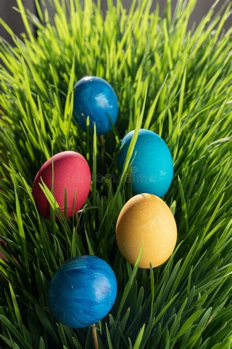 Colorful Easter Eggs On Green Grass Stock Image Image Of Freshness Lawn 266430757
