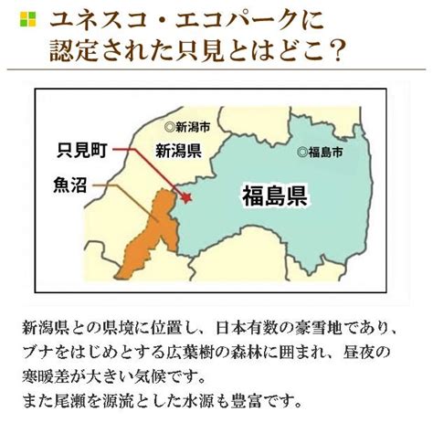 【新米：送料無料】奥会津只見産 令和6年産 コシヒカリ 5kg ※1112発送〜 609910 美酒蔵 はなたれ屋 通販