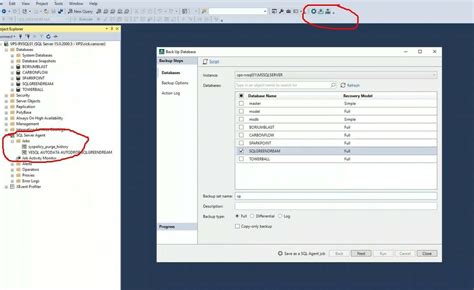 Veeamsql Plugin Integration Into Ssms Gui Misleading Or Bug Veeam