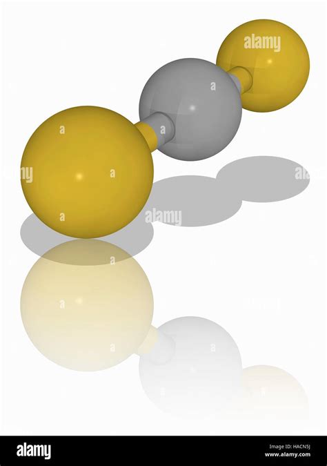 Carbon Disulphide Molecular Model Of The Inorganic Carbon Compound