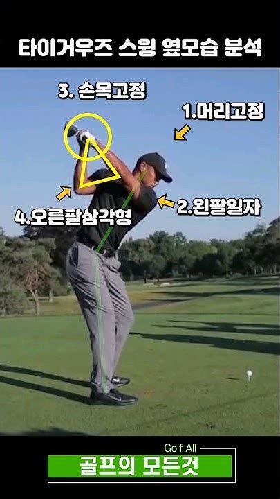 타이거우즈 스윙 반복편집 분석 Youtube
