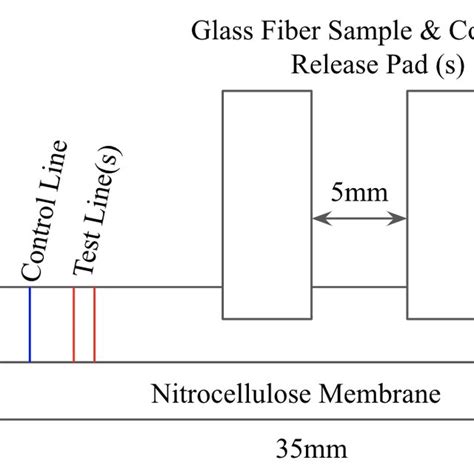 Schematic Of The E Junction Test Strip Design From Top View Download
