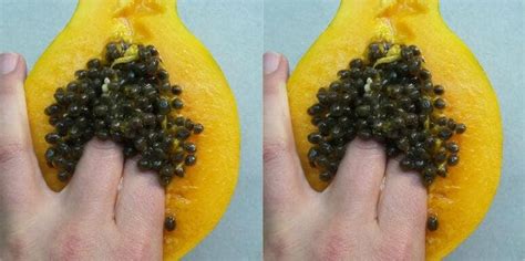 6 Of The Craziest Fruit Fingering Videos On The Internet Yourtango