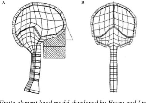 Figure 10 From A Review Of Head Injury And Finite Element Head Models
