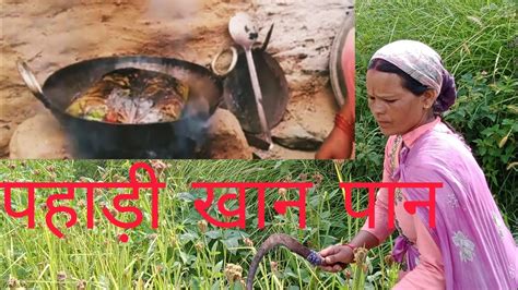 पहाड़ी खान पानpahadikhanapahadilifestyle Pahadivolg Youtube