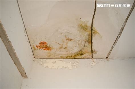 「噴糞水、爆水管」台灣漏水糾紛多！怎檢查？專家曝端倪：看水痕就知