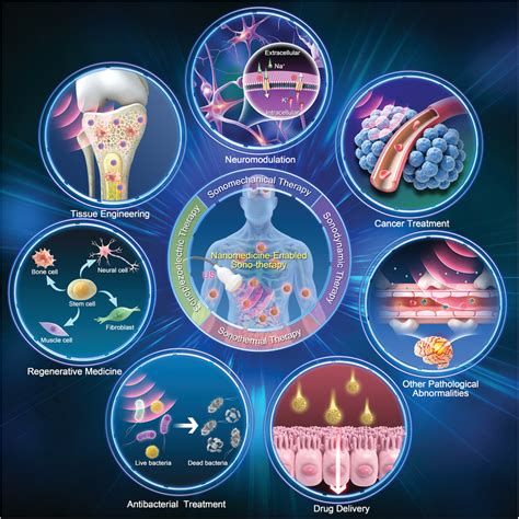 Scheme Of The Nanomedicineenabled Sonotherapies Paradigm And The